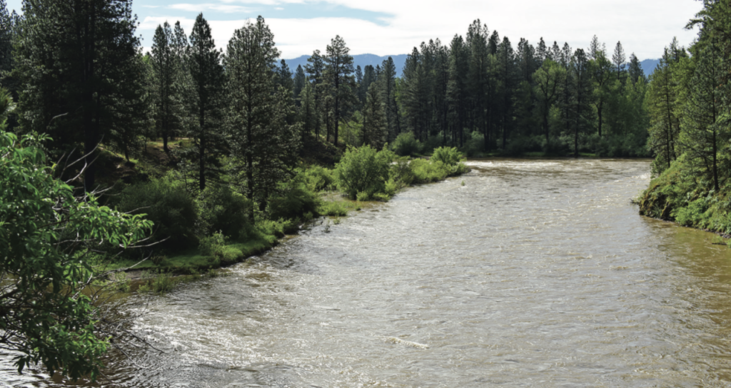 The Idaho World - Boise County newspaper